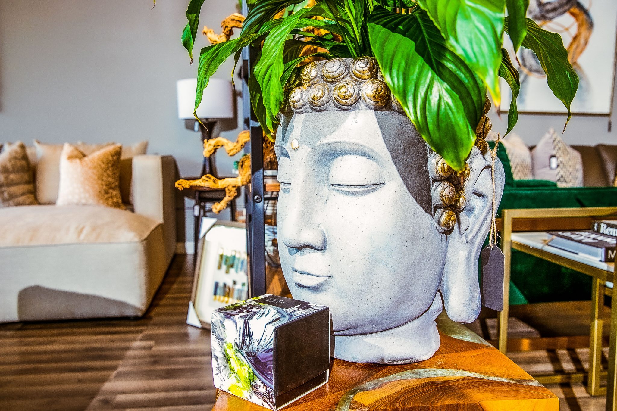 Studio 77 Home Design